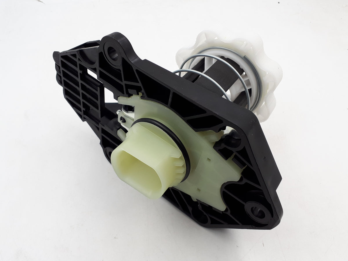 Soporte de Rueda de Repuesto Renault ORIGINAL – MLBMOTOR